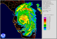 Florida GIFs - Get the best gif on GIFER