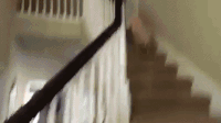 Stairs GIFs - Get the best gif on GIFER