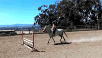 Mhhm GIFs - Get the best gif on GIFER