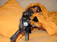 Sniper GIFs - Get the best gif on GIFER