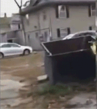 Garbage GIFs - Get the best gif on GIFER