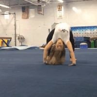 Flexibility GIFs - Get the best gif on GIFER