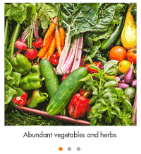 Organic GIFs - Get the best gif on GIFER