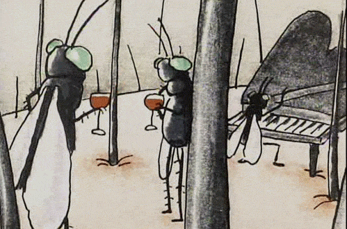 Blackfly GIFs - Get the best gif on GIFER