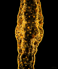 Microscopes GIFs - Get the best gif on GIFER