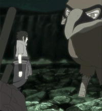 Hawk GIFs - Get the best gif on GIFER