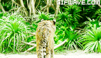 Pi GIFs - Get the best gif on GIFER