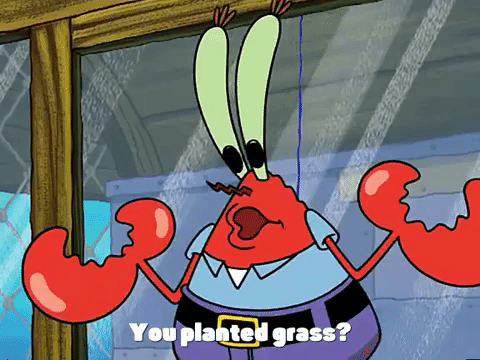 Identidad perdida GIF - Conseguir el mejor gif en GIFER