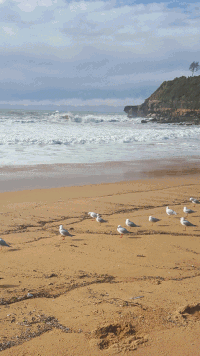 Filip GIFs - Get the best gif on GIFER