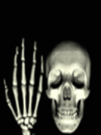 Esqueletos GIF - Conseguir el mejor gif en GIFER