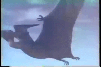 Pterodactyl GIFs - Get the best gif on GIFER