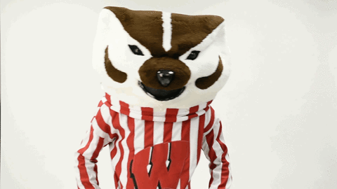 Bucky badger GIFs - Get the best gif on GIFER