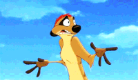 Timon GIFs - Get the best gif on GIFER