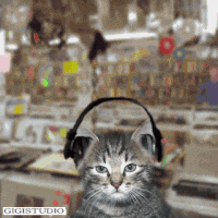 Hear GIFs - Get the best gif on GIFER