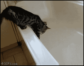 Scrambling GIFs - Get the best gif on GIFER