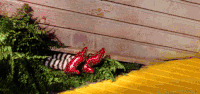 Red slippers GIFs - Obtenez le meilleur gif sur GIFER