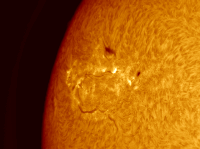 Quarks GIFs - Get the best gif on GIFER