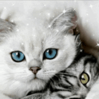 Rotfl GIFs - Get the best gif on GIFER