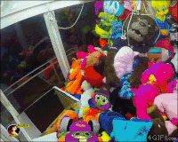 Prize GIFs - Get the best gif on GIFER