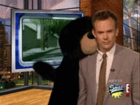 Guide GIFs - Get the best gif on GIFER