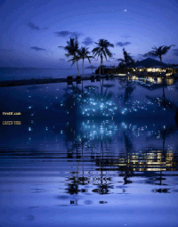 Beach GIFs - Get the best gif on GIFER