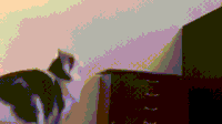 Queda GIF - Conseguir o melhor gif em GIFER