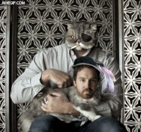 Purrfect GIFs - Get the best gif on GIFER