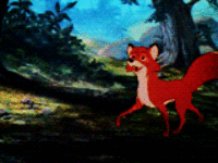 Renard GIFs - Get the best gif on GIFER