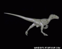 Raptor GIFs - Get the best gif on GIFER
