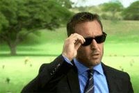 505 GIFs - Get the best gif on GIFER