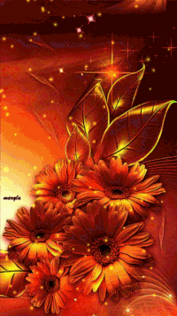 Rangoli GIFs - Get the best gif on GIFER