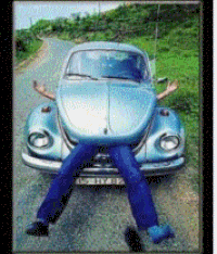 Absurd GIFs - Get the best gif on GIFER