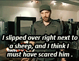 Unquality GIFs - Get the best gif on GIFER