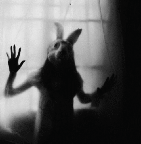 Rabbit horror GIFs - Hole dir die besten GIFs auf GIFER