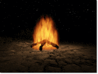 Reflective GIFs - Get the best gif on GIFER