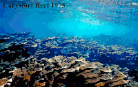 Corail GIFs - Get the best gif on GIFER
