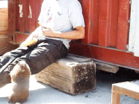 Groundhog GIFs - Get the best gif on GIFER