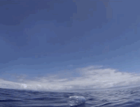 Plastic GIFs - Get the best gif on GIFER