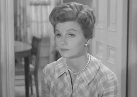 June cleaver GIF - Conseguir el mejor gif en GIFER