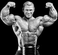 Bodybuilding GIFs - Get the best gif on GIFER