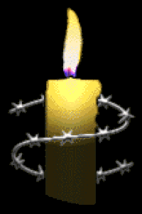 International GIFs - Get the best gif on GIFER
