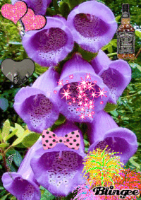 Blingee GIFs - Get the best gif on GIFER