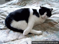 Kaboom GIFs - Get the best gif on GIFER