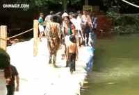 Santini GIFs - Get the best gif on GIFER