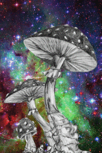 Hippie GIFs - Get the best gif on GIFER