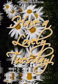 Lovely GIFs - Get the best gif on GIFER