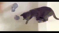 Heaters GIFs - Get the best gif on GIFER