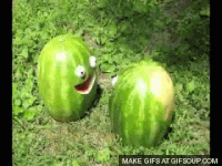 Vegetable GIFs - Get the best gif on GIFER