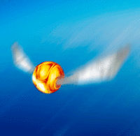 Golden retrevier GIFs - Get the best gif on GIFER