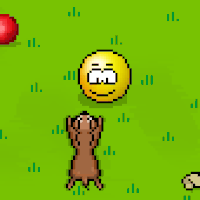 Roll GIFs - Get the best gif on GIFER